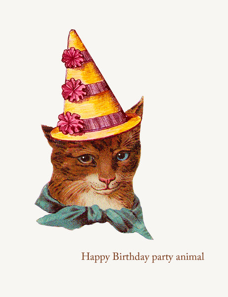Happy Birthday party animal (cat) - A-2 Greeting Card – P. Flynn Design