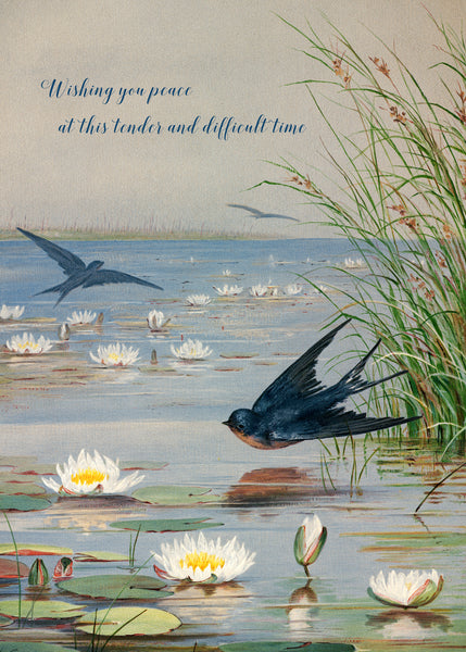 Wishing you peace.. Greeting Card – P. Flynn Design